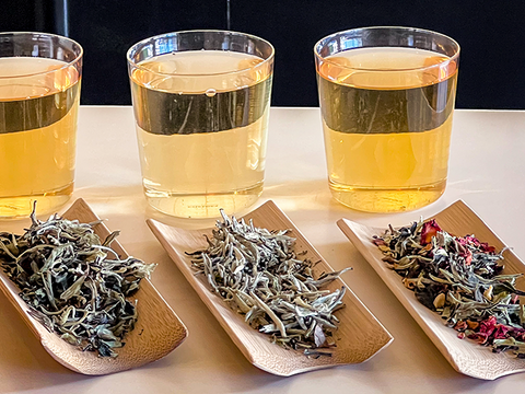 Todo lo que necesitas saber sobre el té blanco – Soy Té