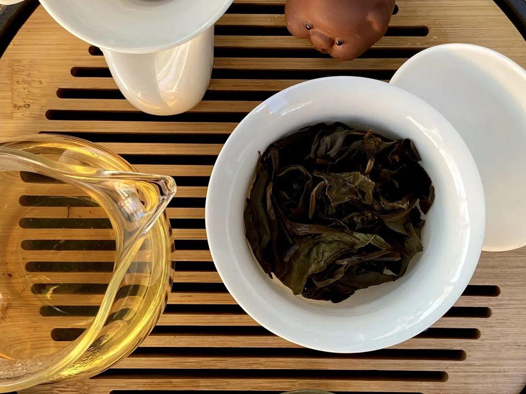Té vs. Infusiones – Soy Té