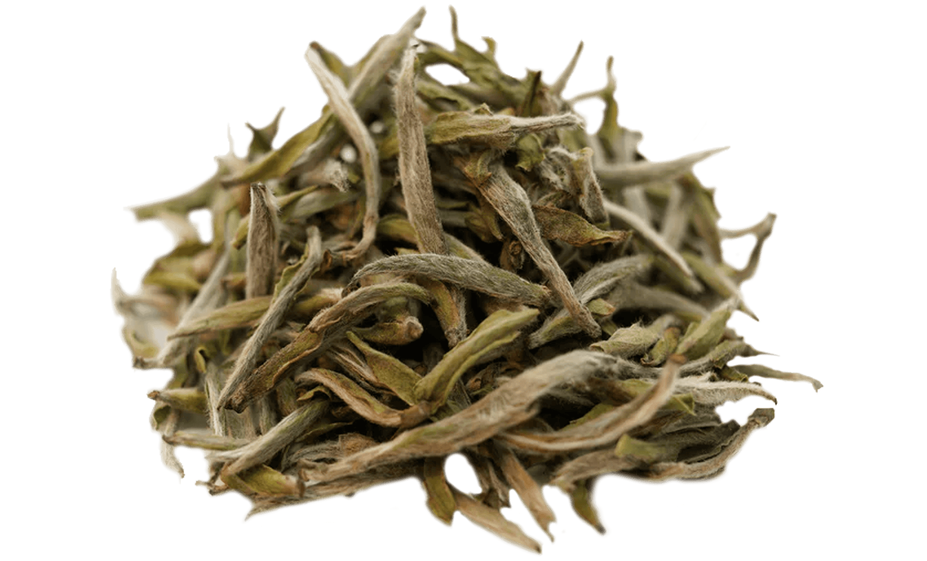 Bai Hao Yin Zhen Dian Tou - Té blanco de Tea Drunk | Soy Té